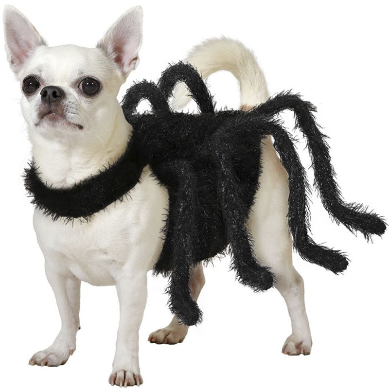 Fato original Aranha para cães | Comprar online
