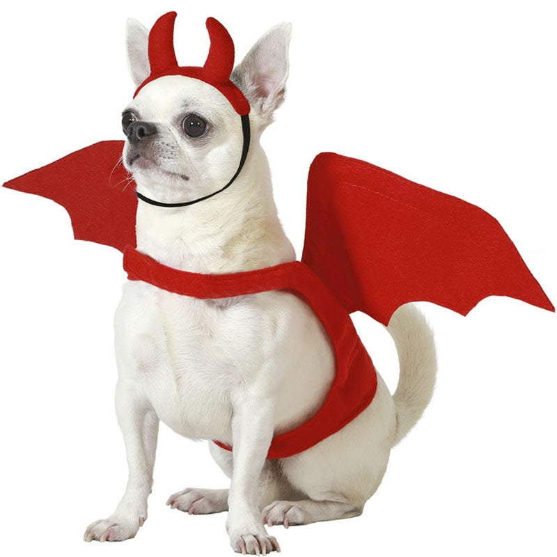 Fato original Diabo para cães | Comprar online