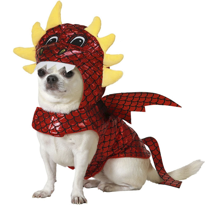 Fato original Dragão para cães | Comprar online