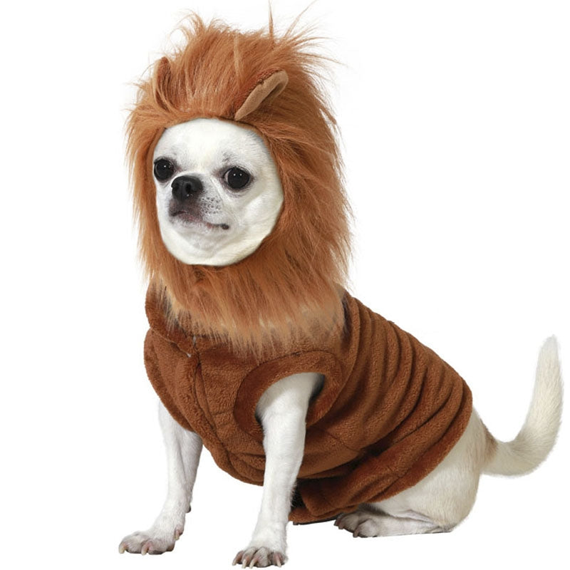 Fato original Leão para cães | Comprar online