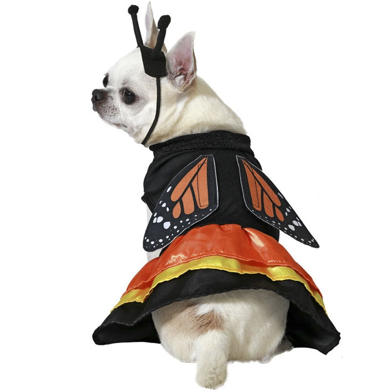 Fato original Borboleta para cães | Comprar online