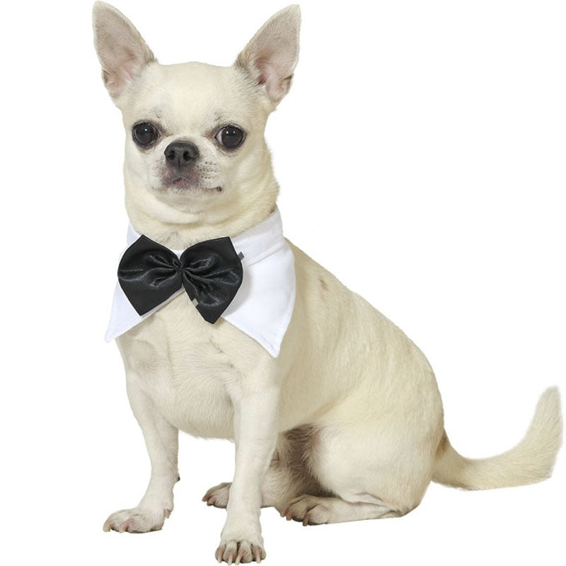 Fato original Laço de fita para cães | Comprar online
