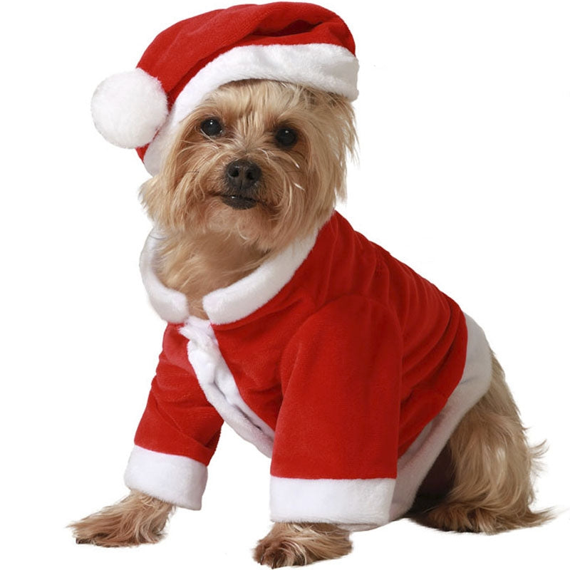 Fato original Pai Natal para cães | Comprar online