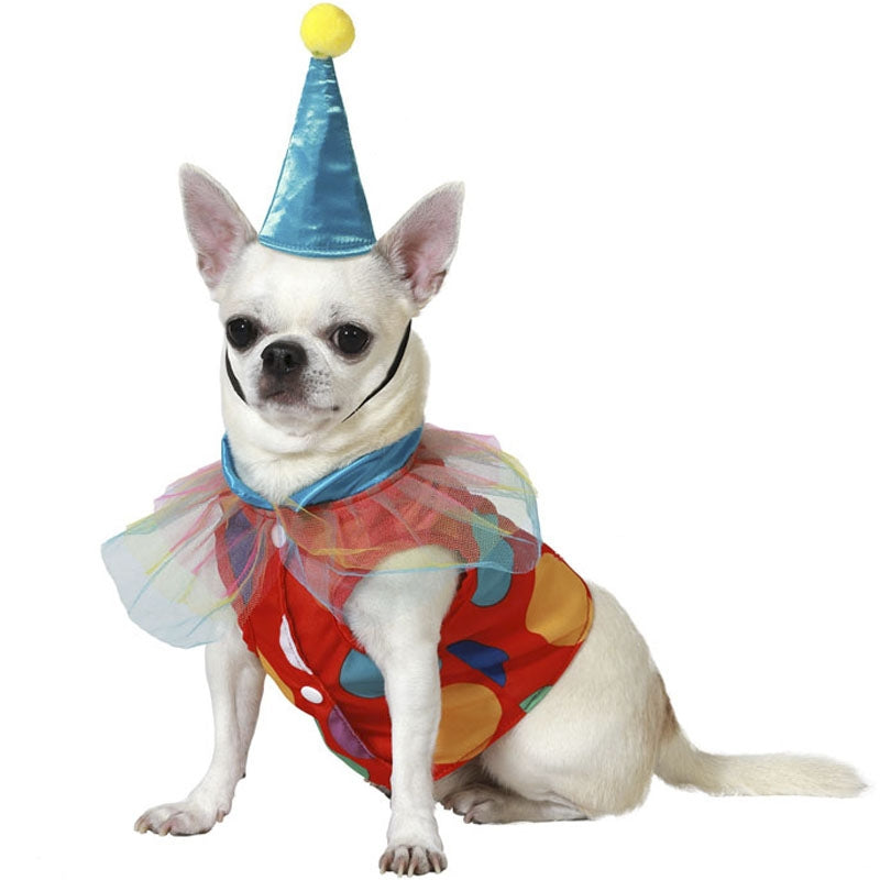 Fato original Palhaço para cães | Comprar online