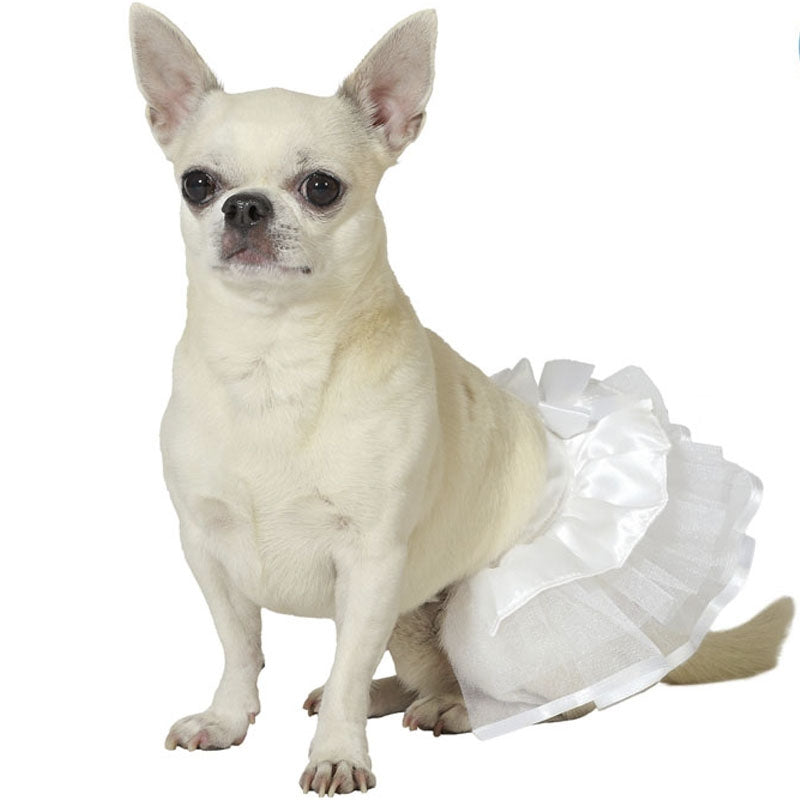 Fato original Tutu branco para cães | Comprar online