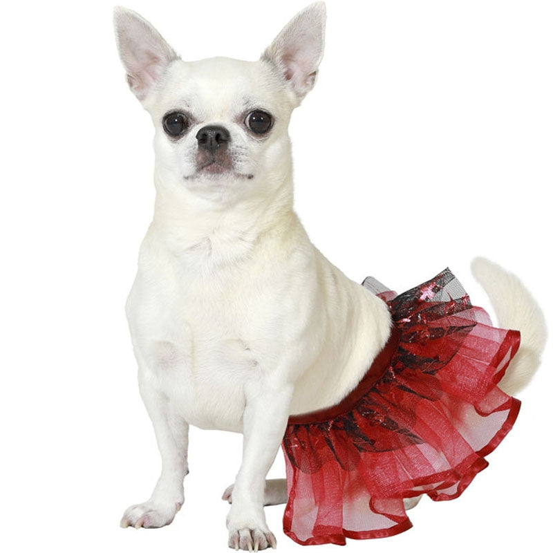 Fato original Tutu vermelho para cães | Comprar online