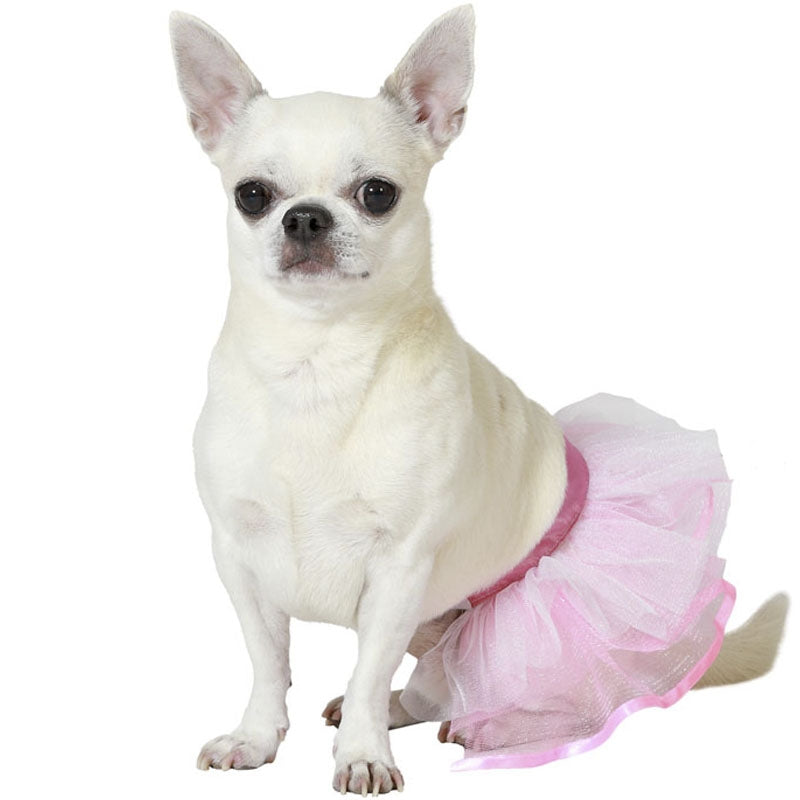 Fato original Tutu Rosa para cães | Comprar online